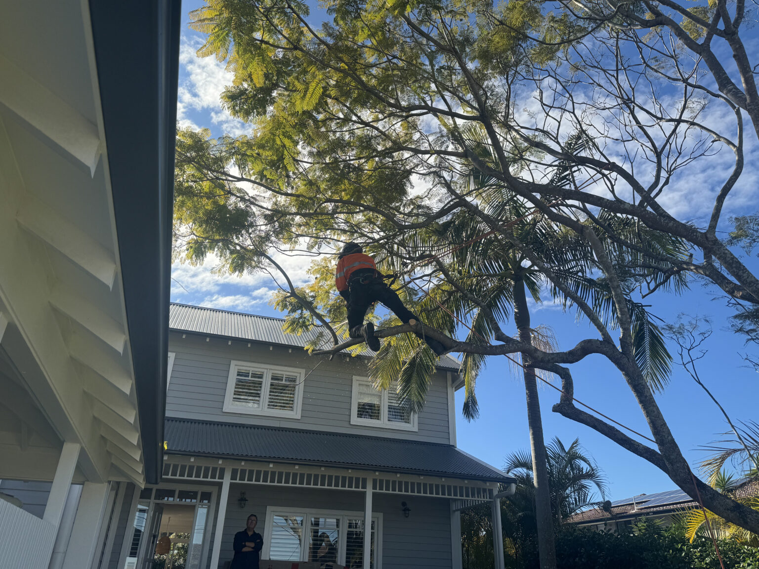 Overhanging Trees: What You Can and Can’t Do?