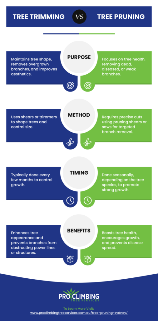 Tree Trimming vs. Tree Pruning: Key Differences Explained
