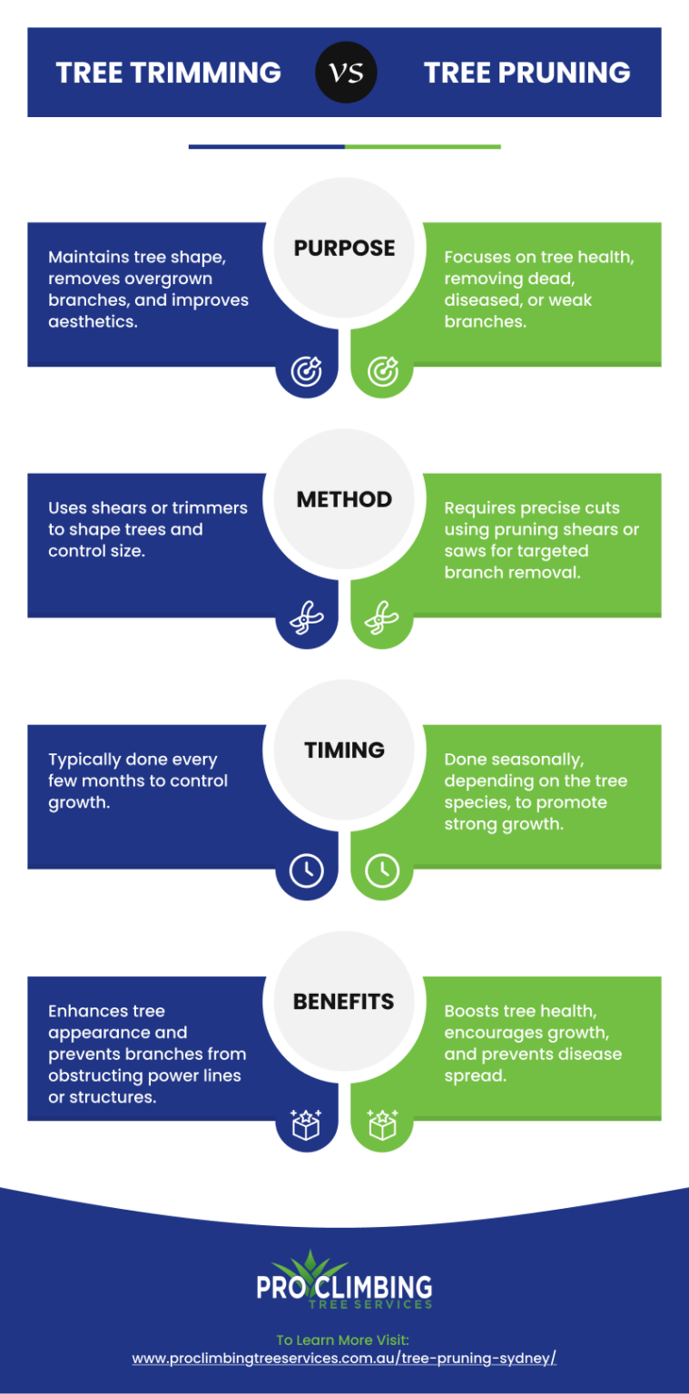 Tree Trimming vs. Tree Pruning: Key Differences Explained